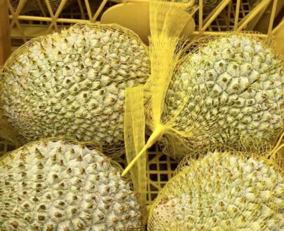 Highland Fruit – Stay Health Stay Safe