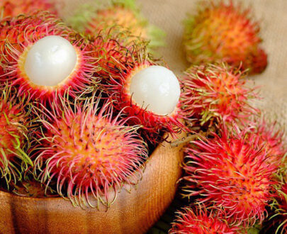 Highland Fruit – Good for you