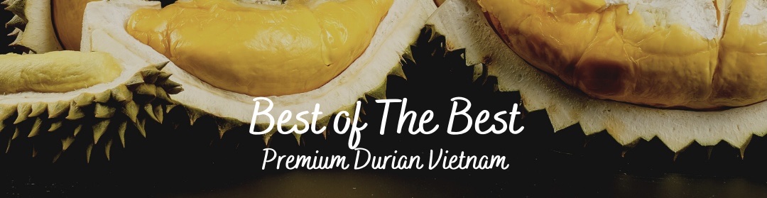 Highland Fruit – Stay Health Stay Safe